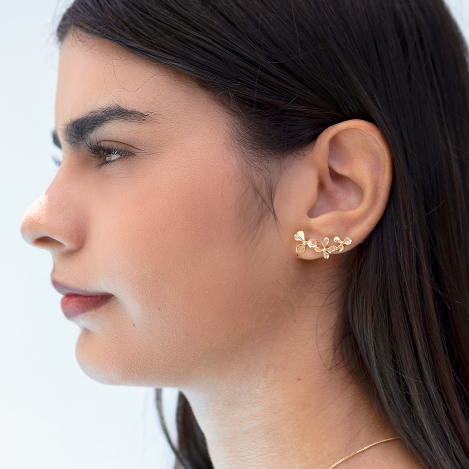 Aretes – SKILLUS.DO