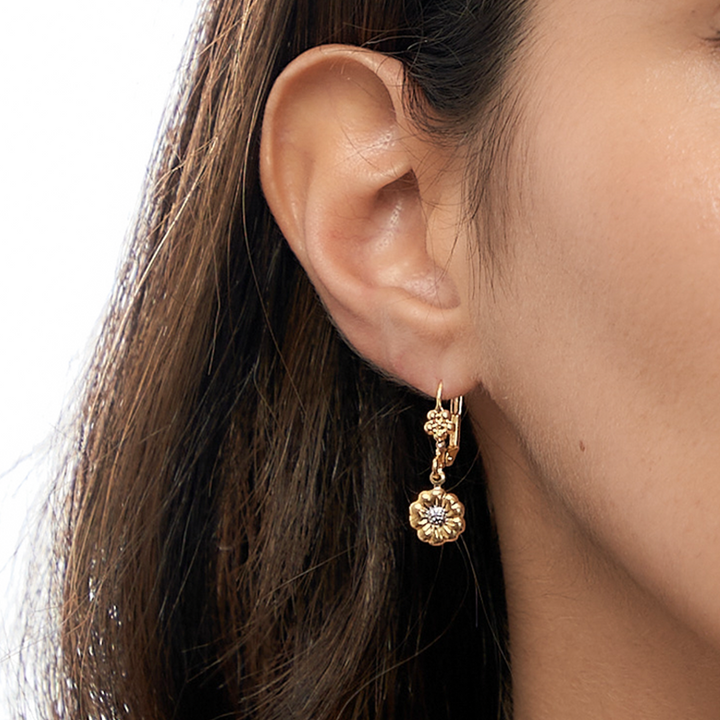 Aretes – SKILLUS.DO