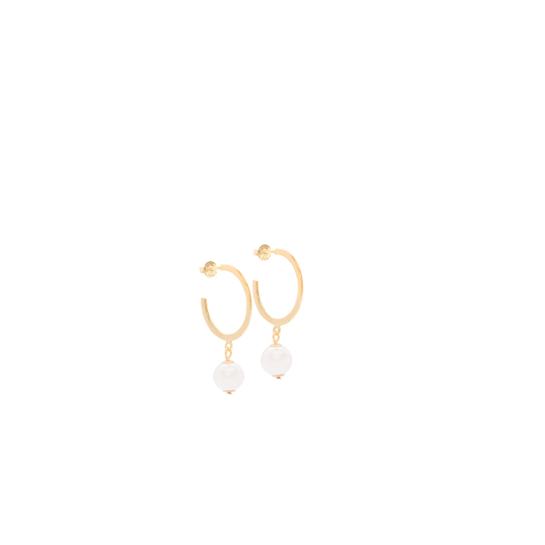 Aretes – SKILLUS.DO